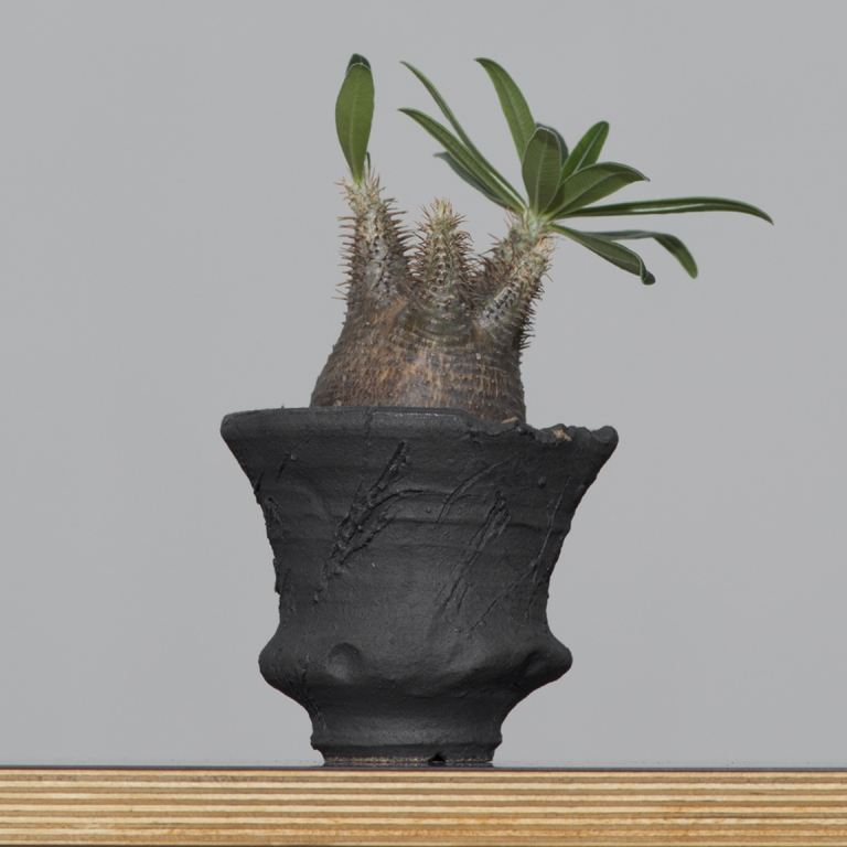 POG x SYU Garden Scissors - Premium Version - plants of gods