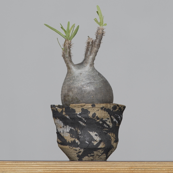 POG wooden Planter - plants of gods