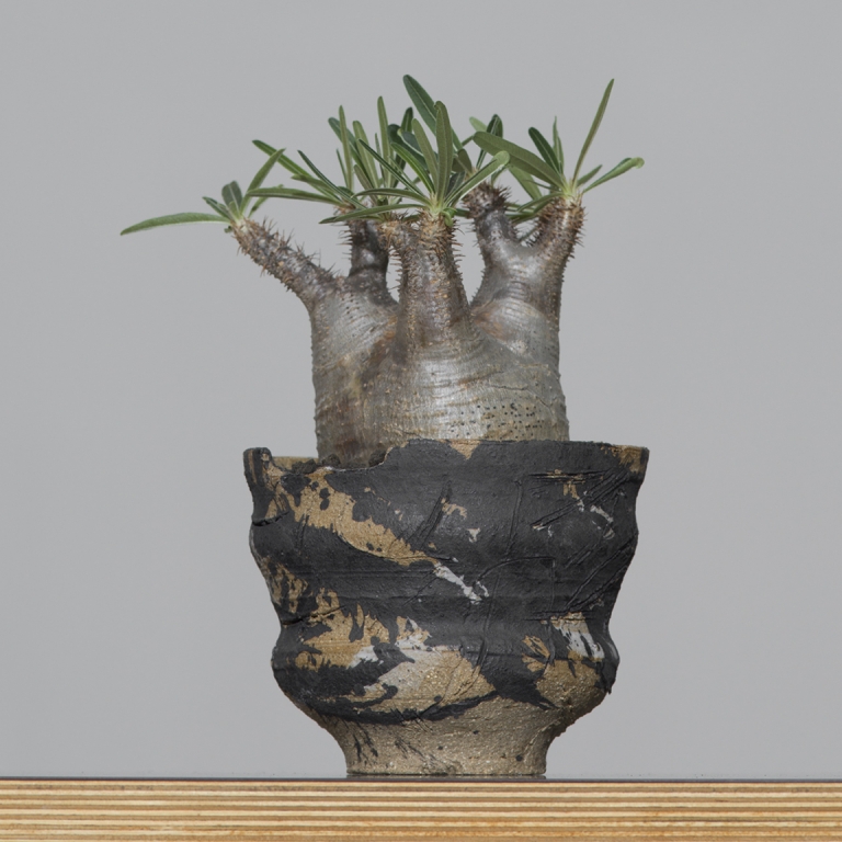 POG x SYU Garden Scissors - Premium Version - plants of gods